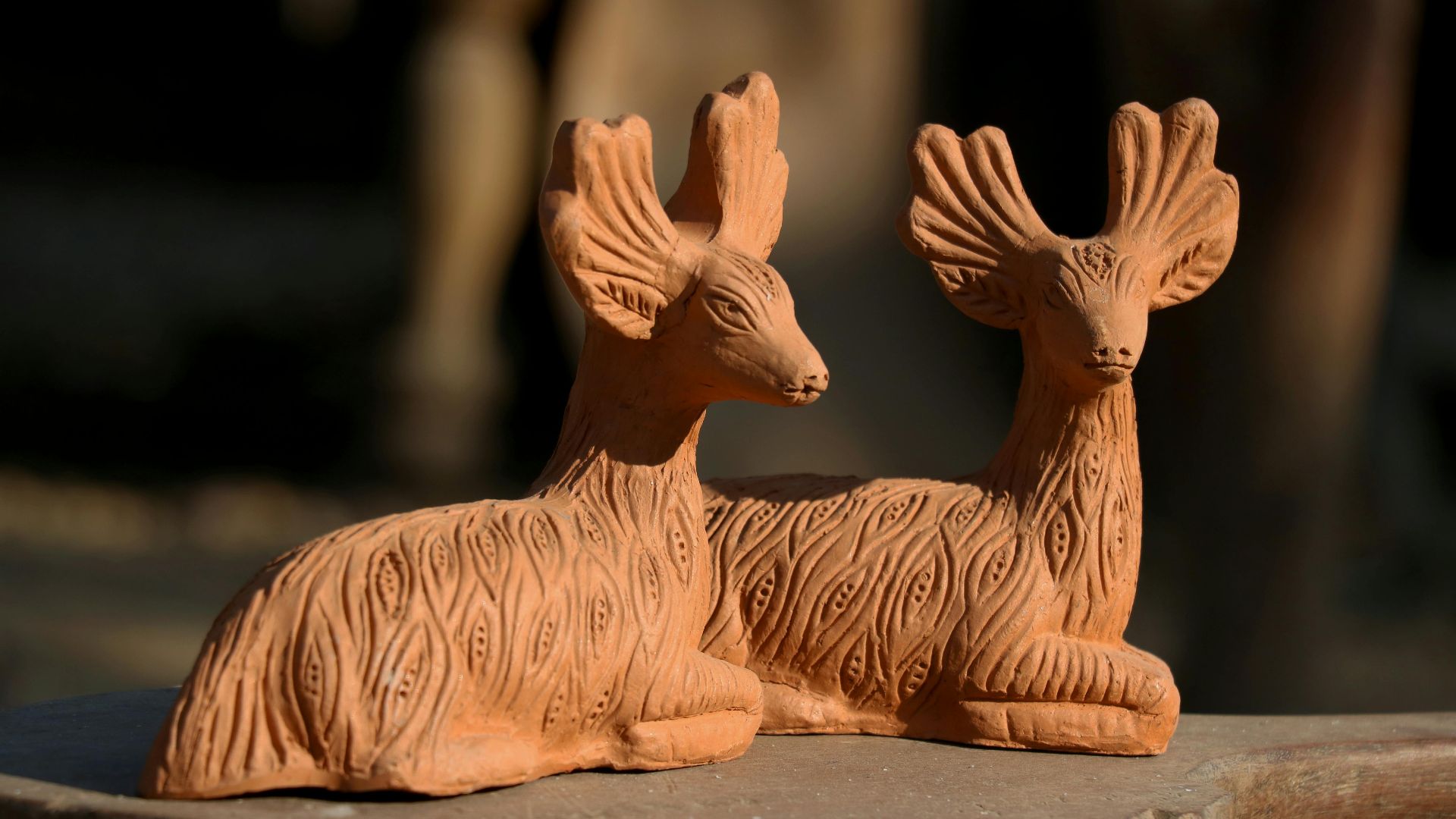 10 Fun Animal-Related Hobbies You Can Get Into - PetsAndPals