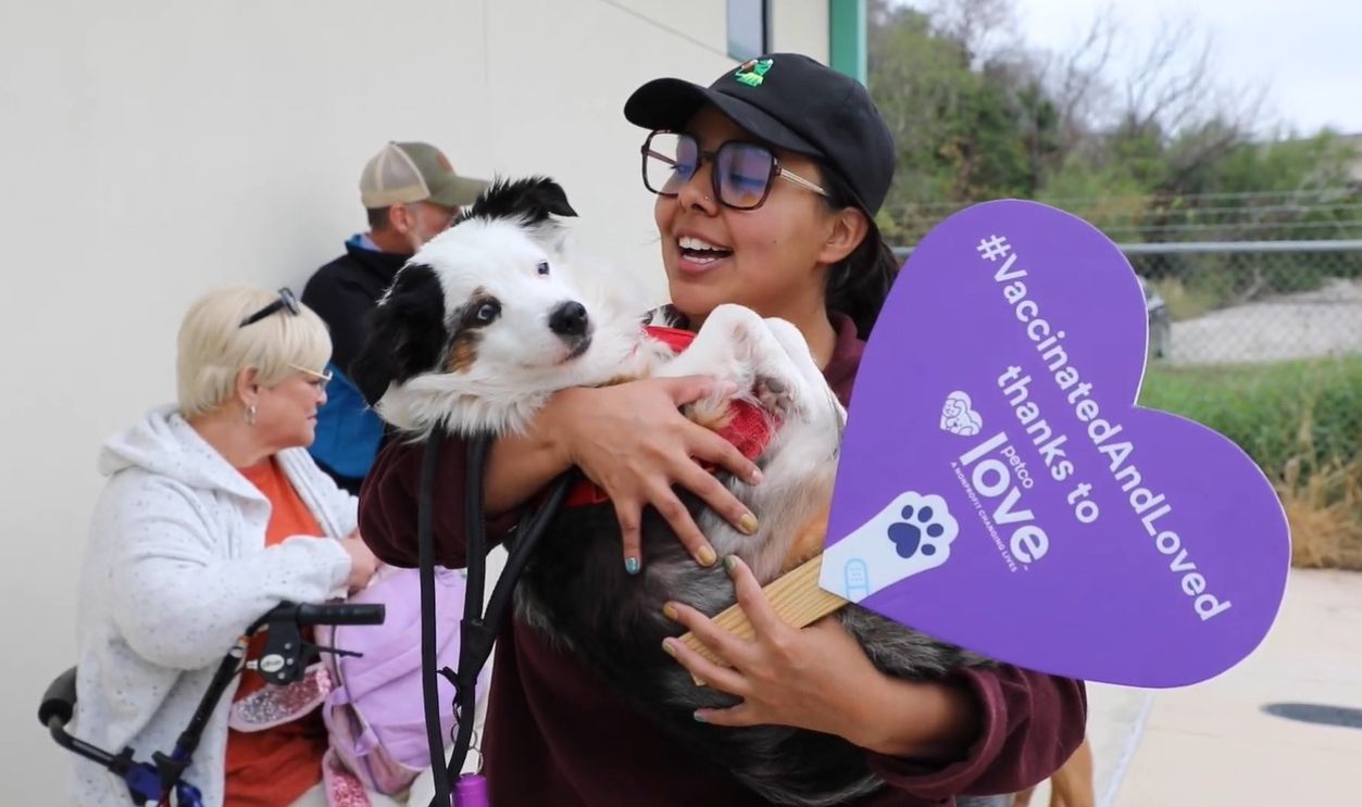 10 Organizations That Protect Animals - PetsAndPals